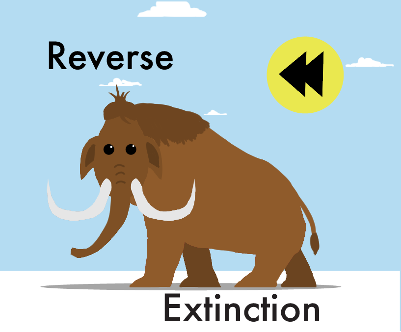 Reverse Extinction